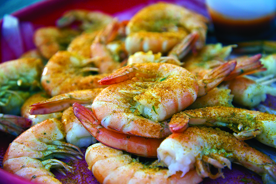 5 Types of Shrimp from the Southern Coasts – The Florida Bookshelf