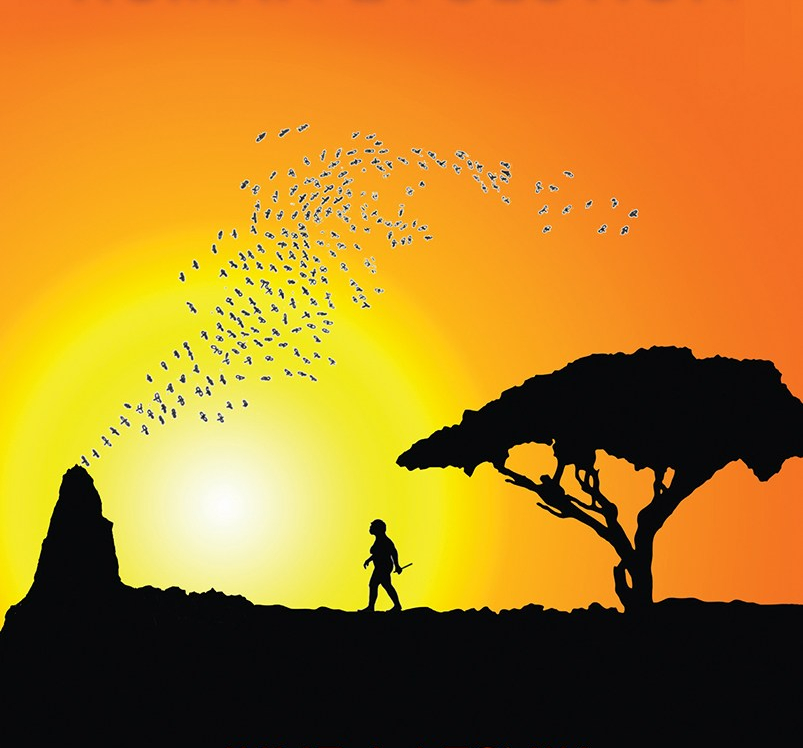 Edible Insects and Human Evolution – The Florida Bookshelf