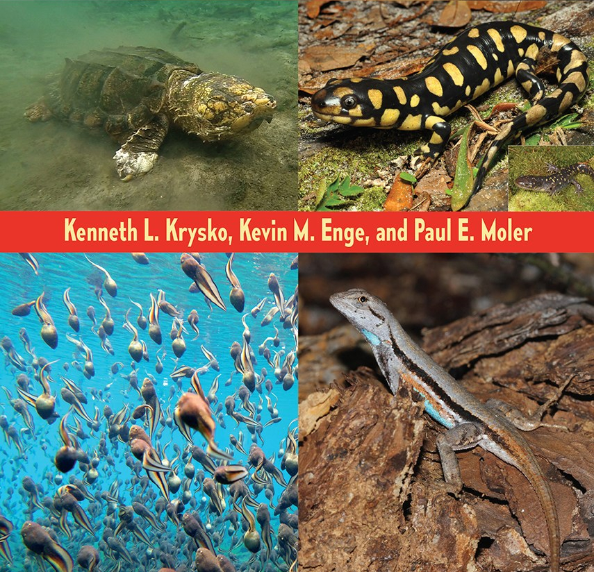 Amphibians and Reptiles of Florida – The Florida Bookshelf