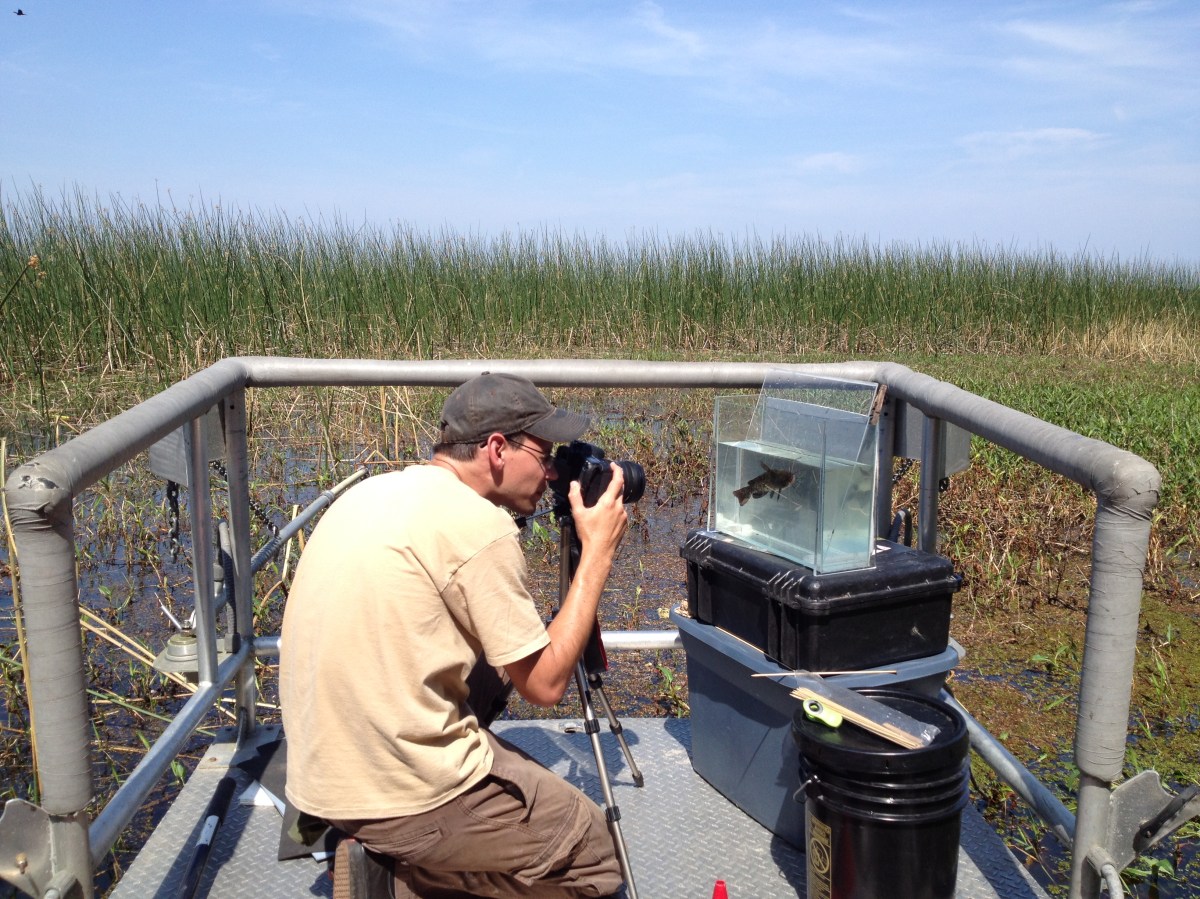 Behind the Scenes Collecting Florida’s Fishes – The Florida Bookshelf