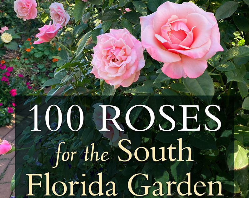 100 Roses for the South Florida Garden – The Florida Bookshelf